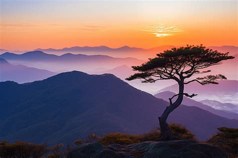 산꼭대기에 있는 나무 가을 계절 높은 해상도 배경 일러스트 및 사진 무료 다운로드 Pngtree