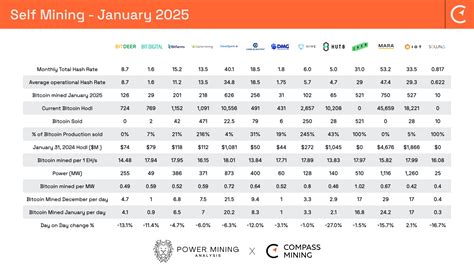 Bitcoin Mining Industry Report January 2025 Market Trends And Operational Updates