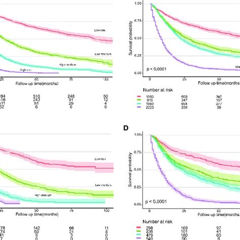 Analytical Framework For Survival Prediction A Flowchart Showing