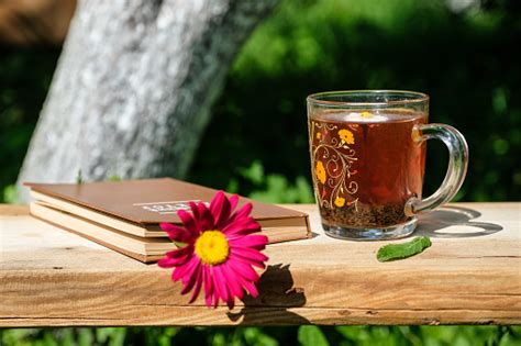 그린에 표면 책 꽃과 박하 잎에 흰색 카모마일 꽃 봉 오리와 홍차의 유리 컵과 나무 벤치에 여름 정원에서 다도 사이드 보기 배경