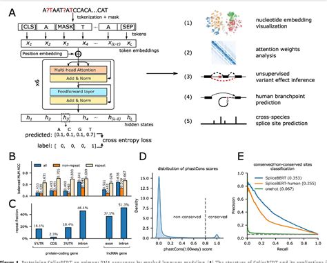 Figure 1 From Self Supervised Learning On Millions Of Primary Rna