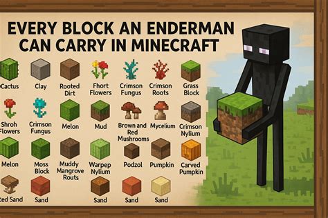 Every Block An Enderman Can Carry In Minecraft Ggservers Blog