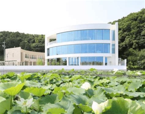 藤﨑建設工業株式会社 本社ビル ZEB通信