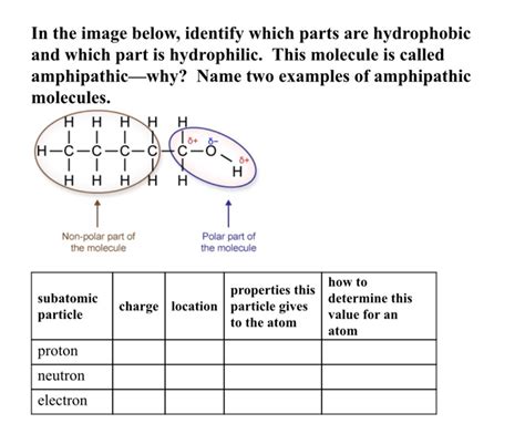Hydrophobic And Hydrophilic Molecules