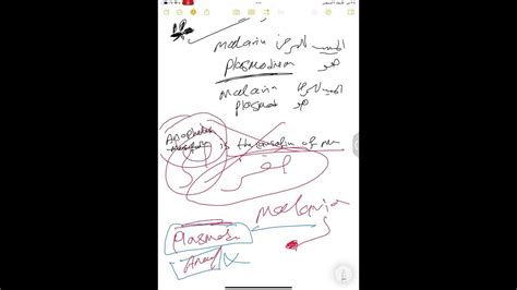 Chapter 3lecture 7 Youtube