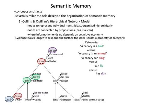 PPT Semantic Memory PowerPoint Presentation Free Download ID 2658237