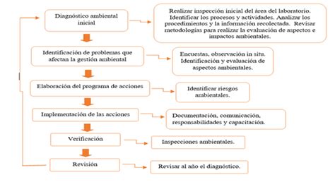Cuáles Son Los 9 Tipos De Chinches Más Comunes Que Existen