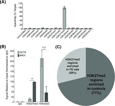 Chromatin Immunoprecipitation Sequencing Chip Seq Analysis Of