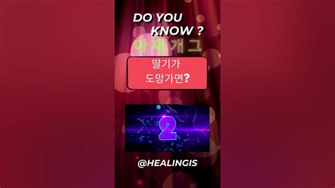 딸기가 도망가면 Vol53 개그 코미디 힐링 아재퀴즈 퀴즈 넌센스 Youtube