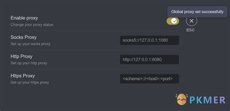 Pkmerobsidian 插件：global Proxy