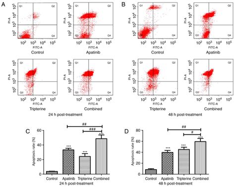 The Coordinated Effects Of Apatinib And Tripterine On The Proliferation Invasiveness And
