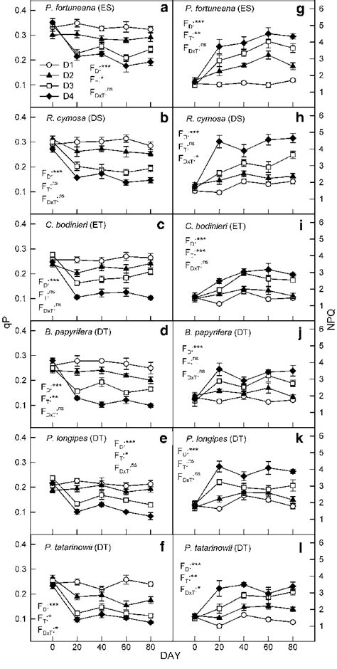 Photochemical Quenching Qp And Non Photochemical Quenching Npq Of Download Scientific