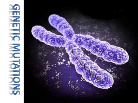Ppt Genetic Mutations Powerpoint Presentation Free Download Id