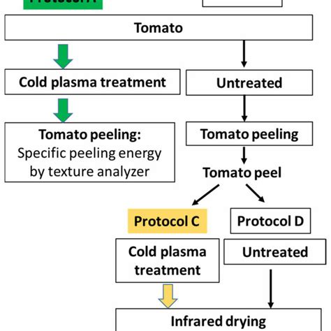 experimental scheme of tomato processing with cold plasma implementation download scientific