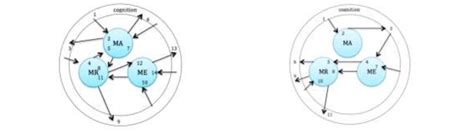 Metacognition Process By Subject S 1 And Subject S 2 Download Scientific Diagram