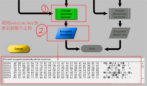 用cryptool 进行的一些密码学的实验【不定时更新】cryp密码 Csdn博客