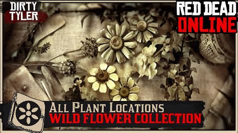 Rdr2 Wild Flowers Collection List At Vincent Flora Blog