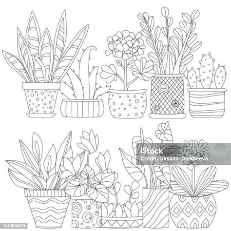 색칠 공부 책을위한 성장하는 관엽 식물이있는 민족 장식 화분의 사랑스러운 컬렉션 컬러링 북 페이지 일러스트레이션 기법에 대한 스톡 벡터 아트 및 기타 이미지 컬러링 북