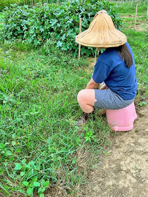 姿勢不正確 田園樂變腰痠背痛 自由健康網