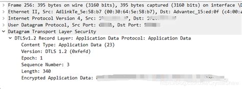 Webrtc数据通道之sctp Over Dtls简介webrtc Sctp Csdn博客