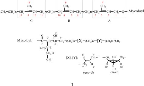 Revisited Mycolic Acid Pattern Of Mycobacterium Confluentis Using Thin Layer Chromatography