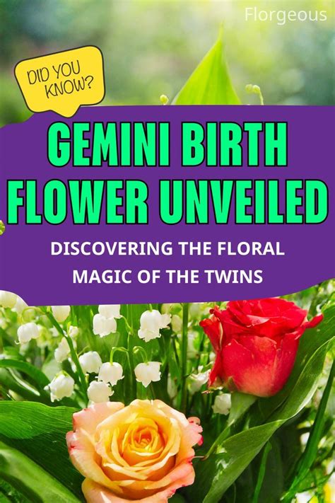 Gemini Birth Flower Unveiled Discovering The Floral Magic Of The Twins