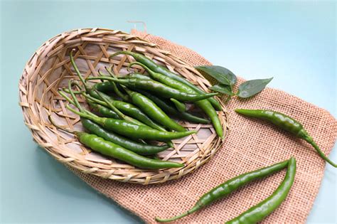 농장 신선한 유기농 그린 칠리 고추 녹색 배경의 바구니에 갓 수확 한 건강하고 매운 고추 공간을 복사합니다 0명에 대한 스톡 사진 및 기타 이미지 Istock