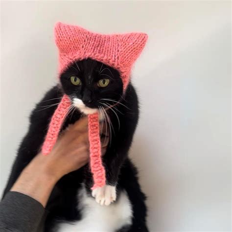 Knitting Pattern Cat Hat For Cat With Kitty Ears Etsy