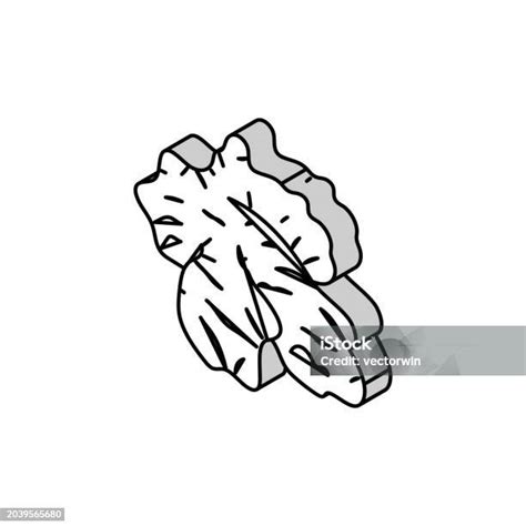 카 다몬 음식 허브 아이소 메트릭 아이콘 벡터 일러스트 레이 션 계피에 대한 스톡 벡터 아트 및 기타 이미지 계피 등측투영법 딜 허브 Istock