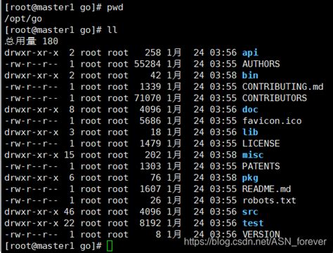 Centos7安装go环境centos7安装go111版本 Csdn博客
