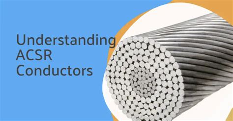 Why Does Bird Not Get Shock On Transmission Lines Yasir Arafin