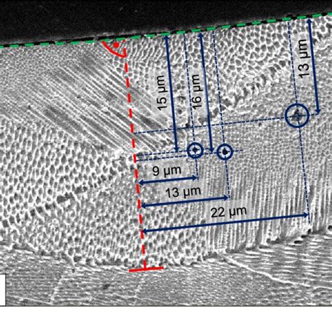 Schematic Depiction Of Pore Position Determination Download Scientific Diagram