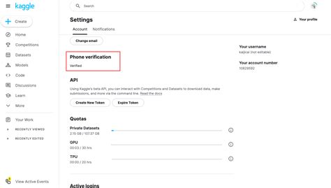 Kaggle找不到gpu如何解决？kaggle没有accelerate Csdn博客