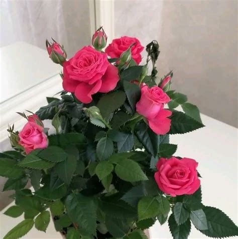 Мудрi цитати Я і моя донька — солдати які повернулися з Facebook