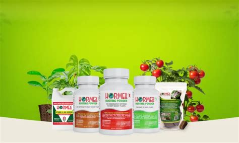 Whats The Difference Between Rooting Hormone And Root Powder In Plant