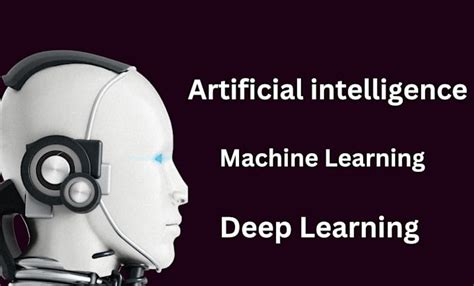 Data Science Machine Learning Deep Learning And Data Analysis Using Python By Umairai1 Fiverr