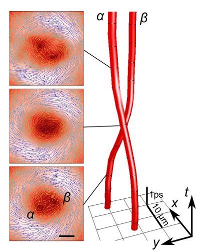 Rotational And Scattering Dynamics Of Quantized Vortices Consiglio