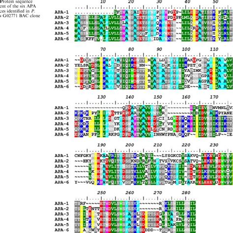 Protein Sequence Alignment Of The Six Apa Sequences Identified In P