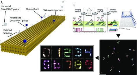 Dna Based Optical Super Resolution Calibration References A A Download Scientific Diagram