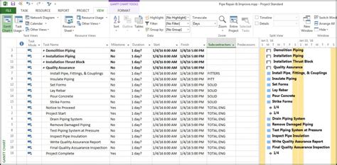 Using Microsoft Project Custom Fields