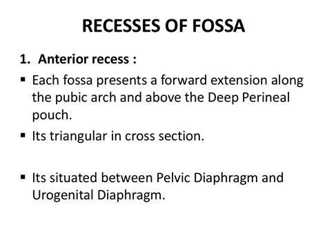 Ischiorectal Fossa Pptx
