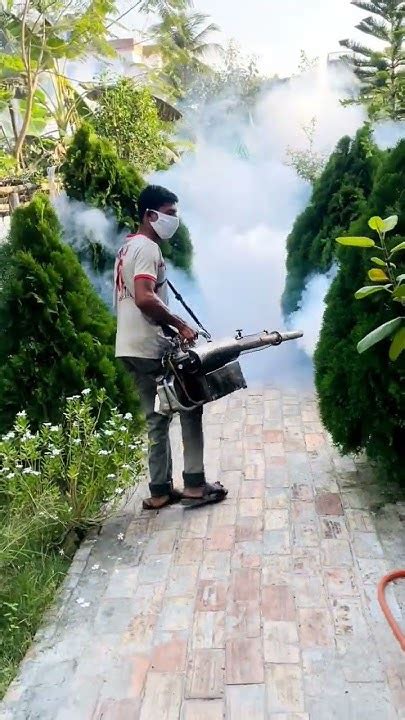 বাগানে মশার স্প্রে💭 Youtubeshort Shortvideo Youtube