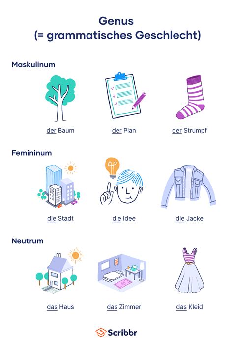 Genus Im Deutschen Einfach Erklärt