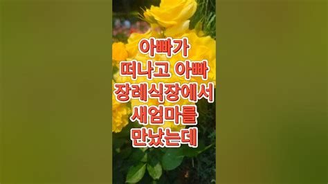 아빠가 떠나고 아빠 장례식장에서 새엄마를 만났는데 Youtube