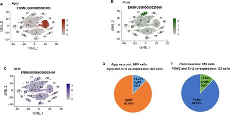 FACS Sorting And Single Cell RNA Sequencing Of AgRP Neurons A And Download Scientific Diagram