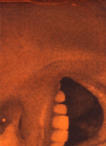 Booklet Library Nudity In Groups