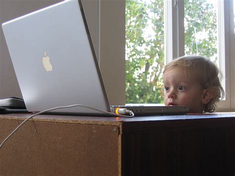 Digital Dilemmas I Photographed Everything And Now My Computer Memory Is Full