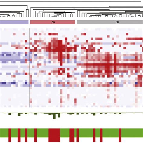 E Cluster Analysis Of Mrna Data Unsupervised Hierarchical Clustering
