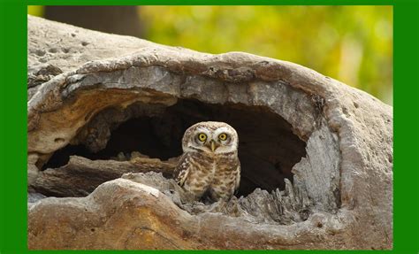 Pos Systems Biometric Authentication