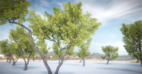 Urp Realistic Tree 15 Mobile 3d Trees Unity Asset Store